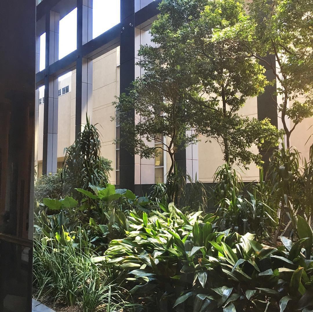 101 Collins lobby – Storey of Melbourne