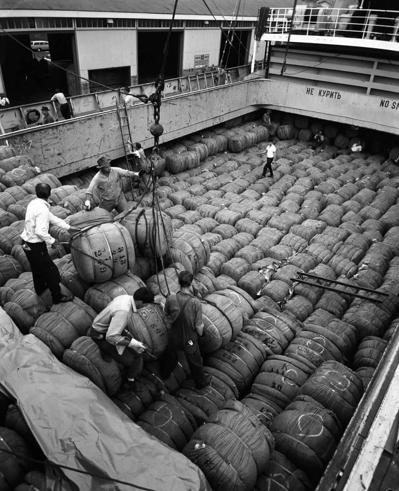 Wharf Labourers Building – Storey of Melbourne