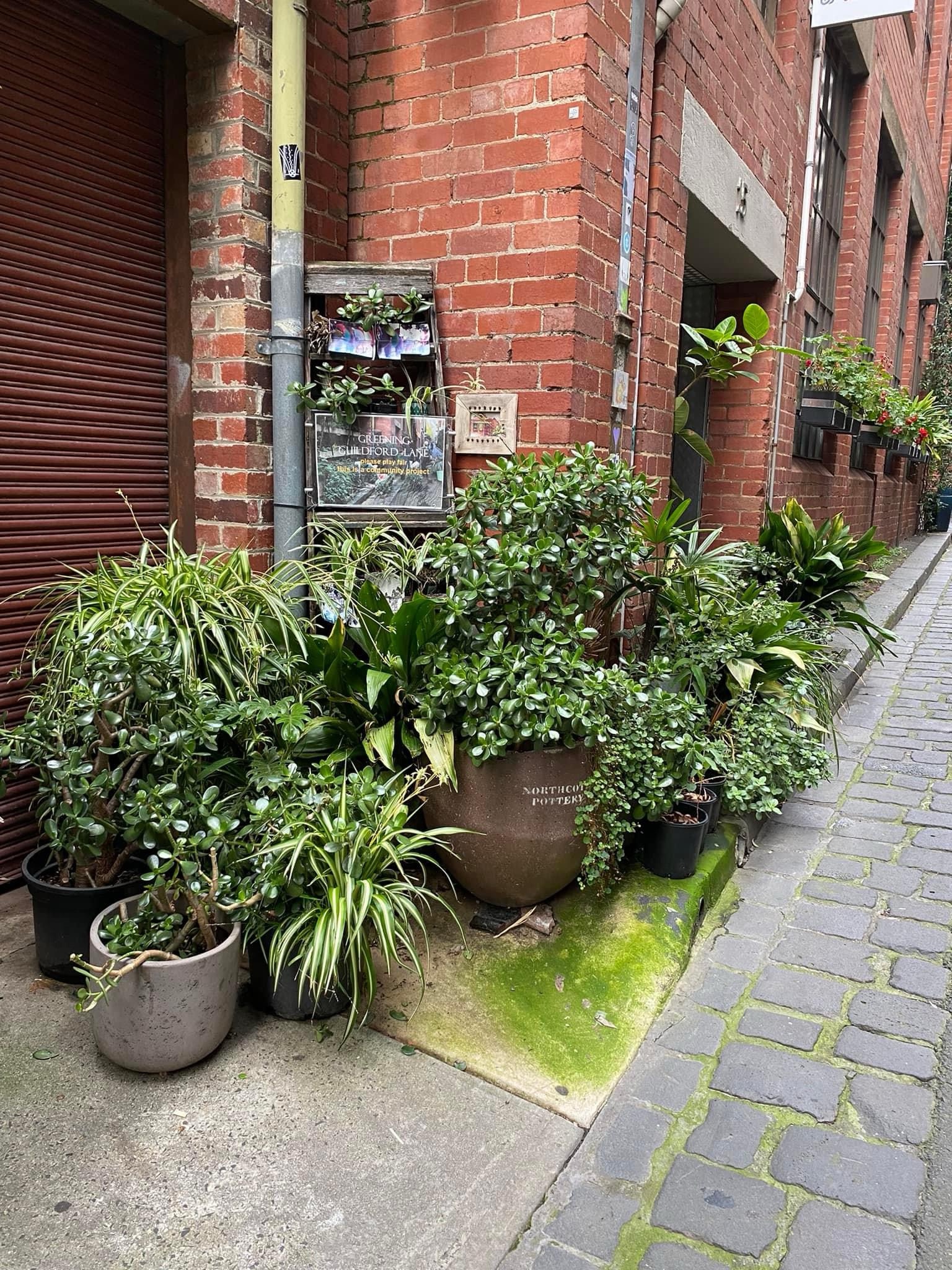 Greening Guildford Lane – Storey of Melbourne