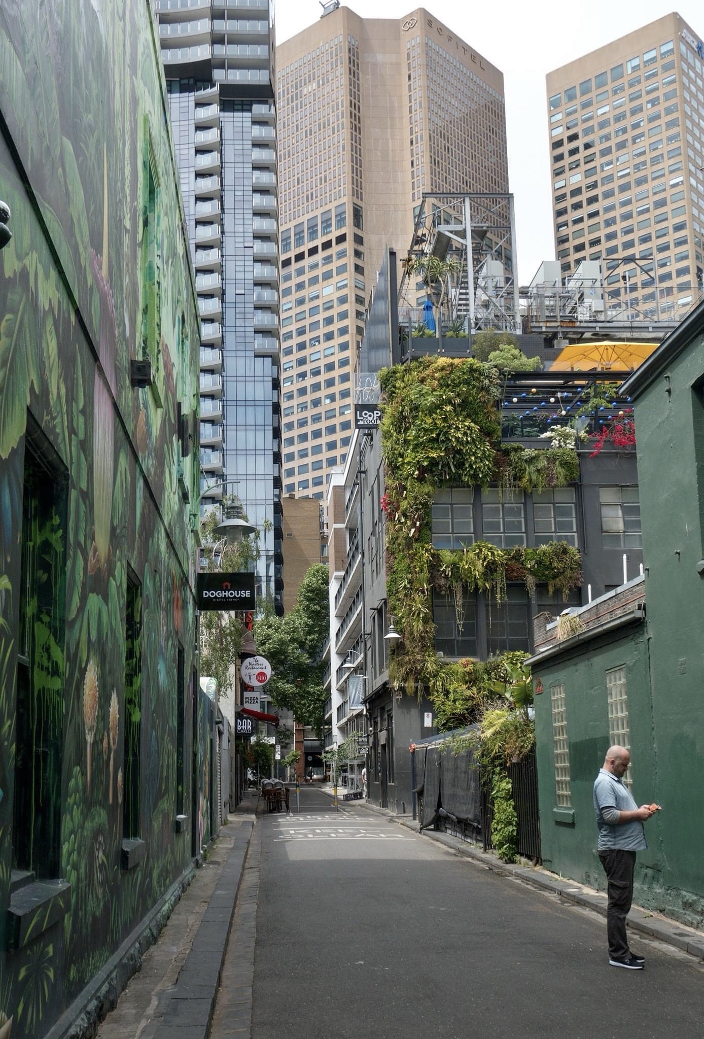 Greening Guildford Lane – Storey of Melbourne